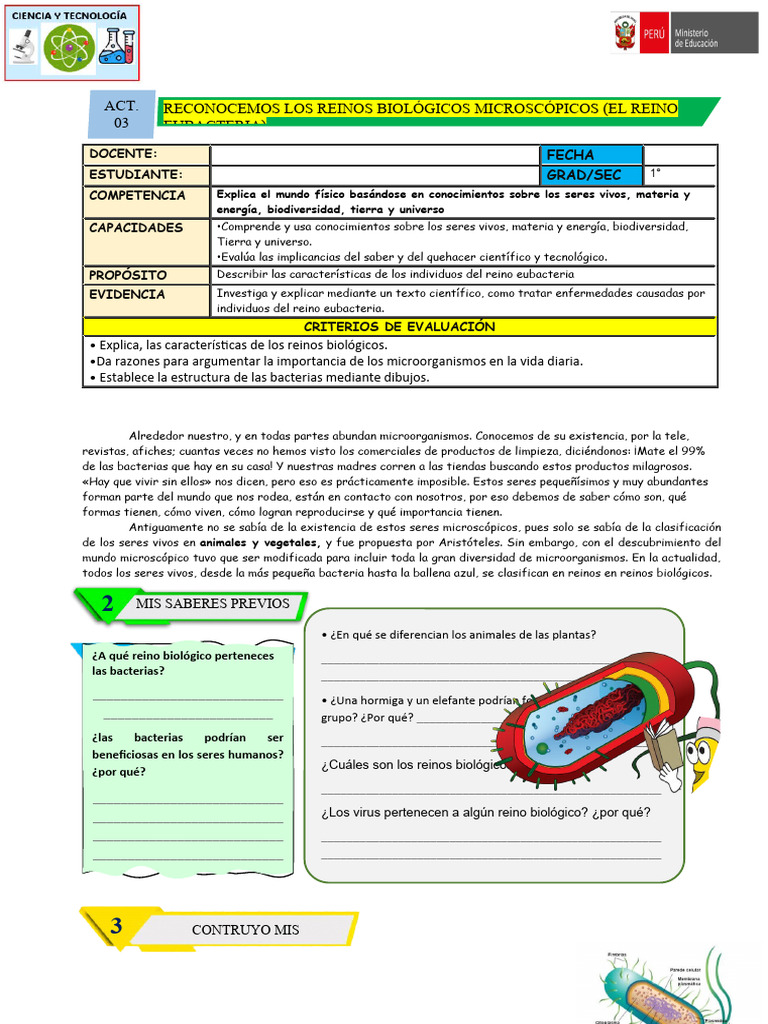 C-1º Act 2 Cyt Unid 1 - Sem 3 | PDF | Las bacterias | Biología Celular)