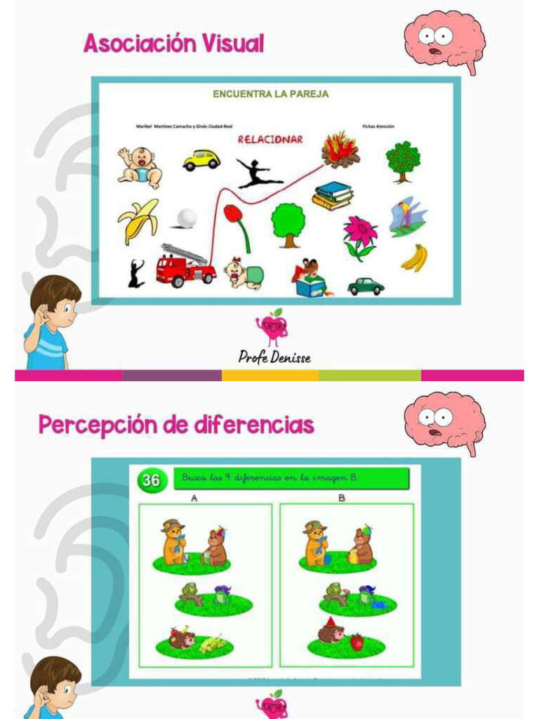 Asociación Visual | PDF