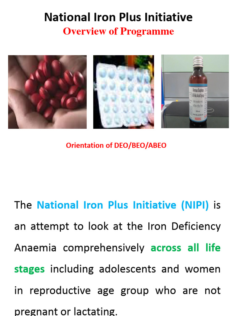 National Iron Plus Initiative Overview | PDF | Medical Specialties ...