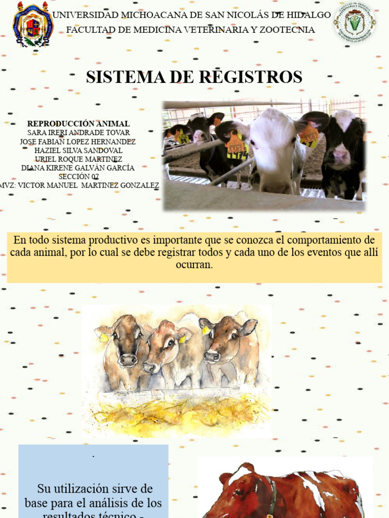 Sistema de Registros | PDF | Business | Economias