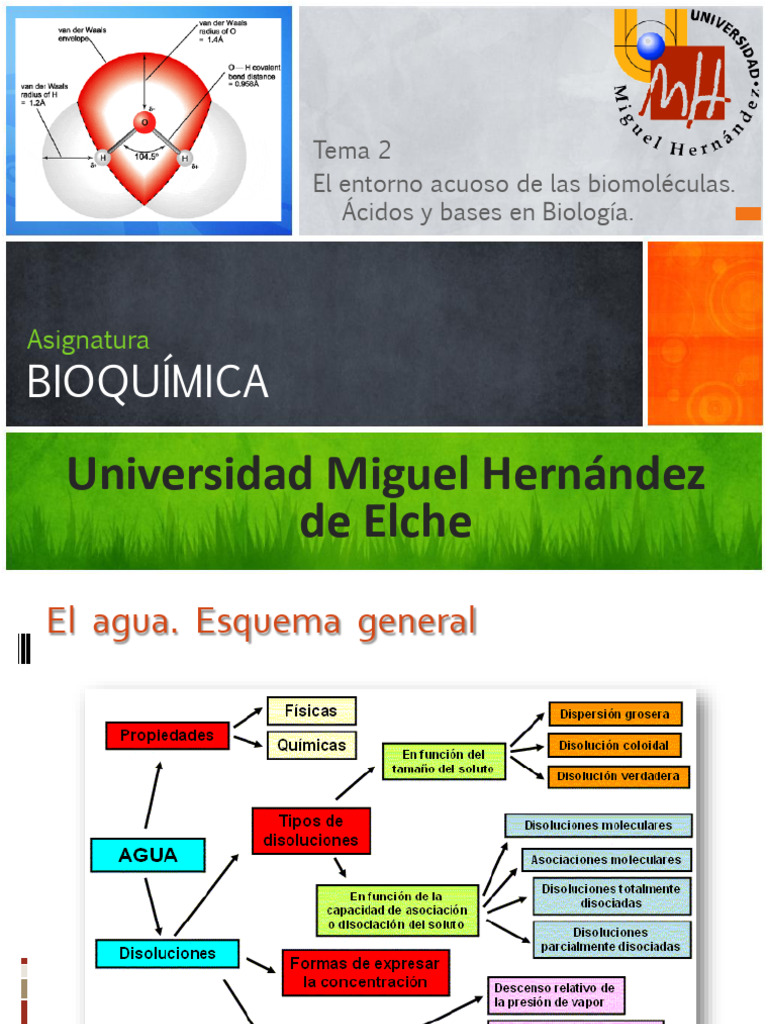 Bioquimica-T2 | PDF | Solución tampón | Ph