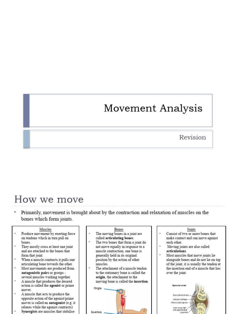 PE Movement Analysis Revision | Download Free PDF | Anatomical Terms Of ...