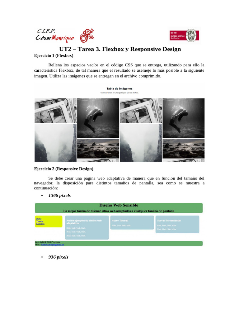 UT2 Tarea 3 Flexbox y Responsive Design | PDF | Arte | Informática