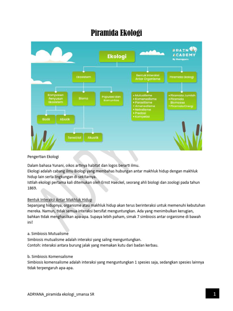 Piramida Ekologi | PDF