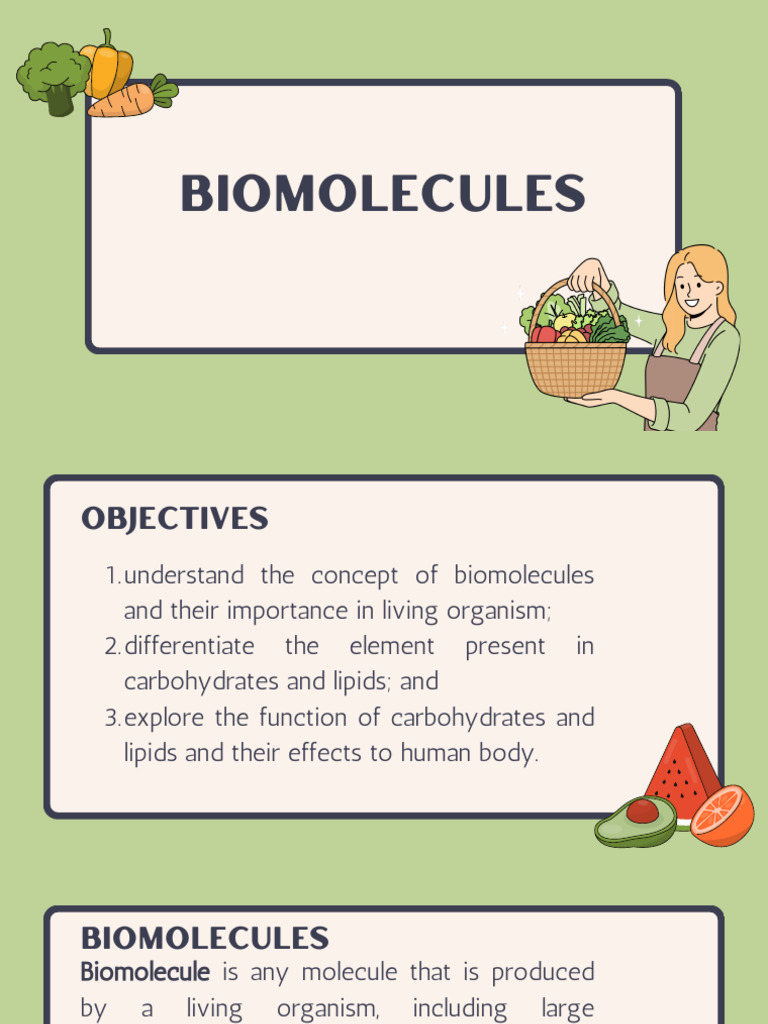 Understanding Biomolecules: Carbs & Lipids | PDF | Carbohydrates ...