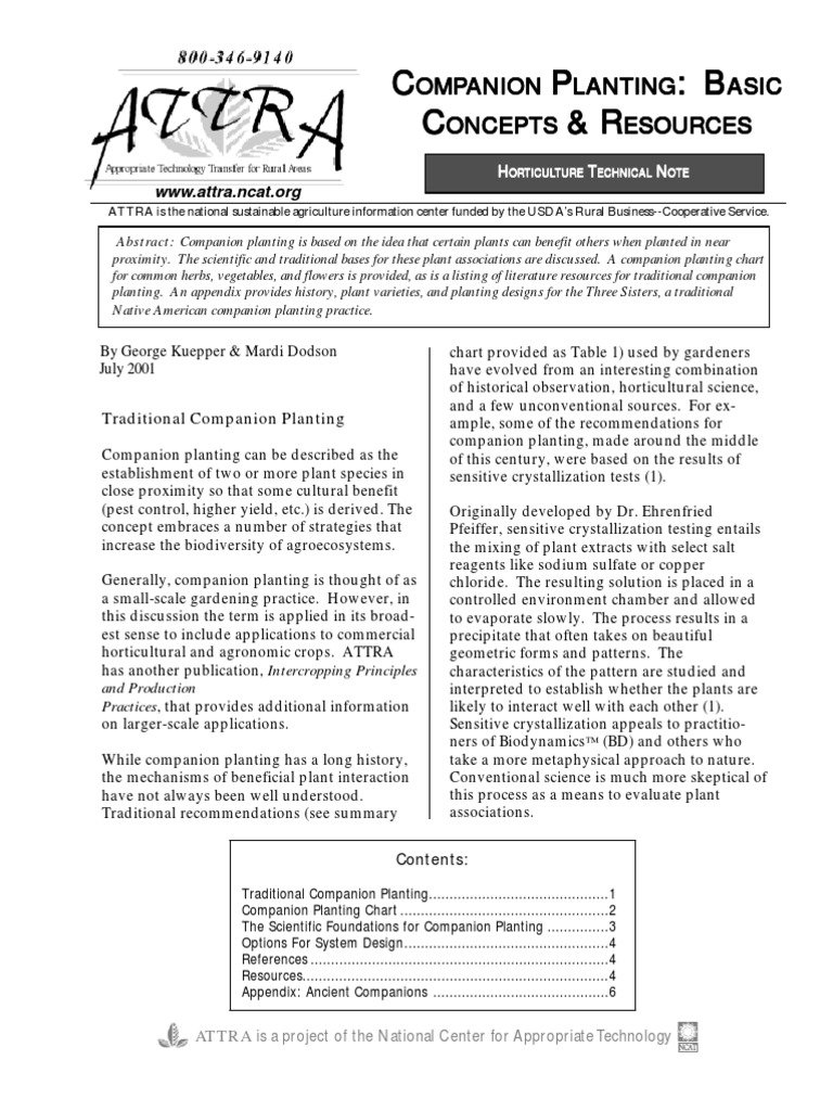 Companion Planting2 | PDF | Maize | Cucurbita