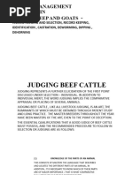 Livestock Judging Techniques Explained | PDF | Livestock | Domesticated ...