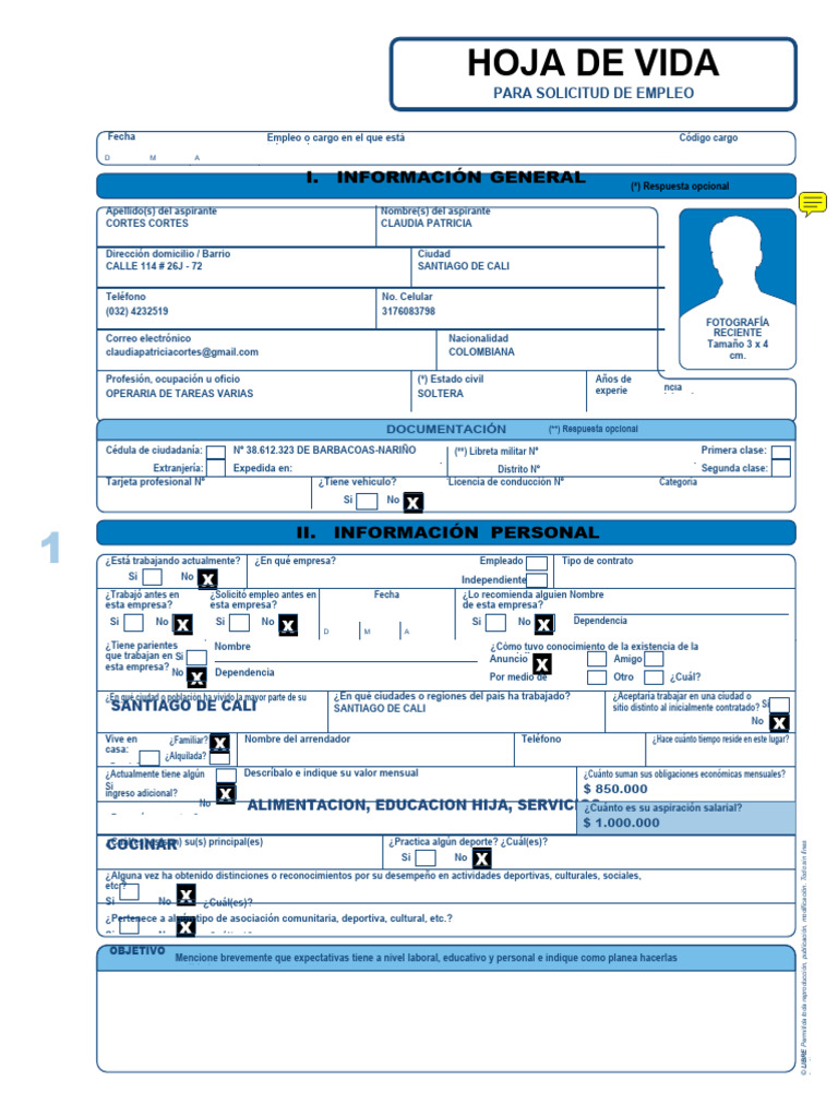 Hoja de Vida Estupid | PDF | Documento de identidad | Economias
