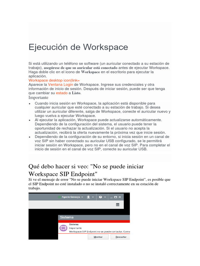 Ejecución de Workspace | PDF | protocolo de Iniciacion de Sesion | Microsoft Windows