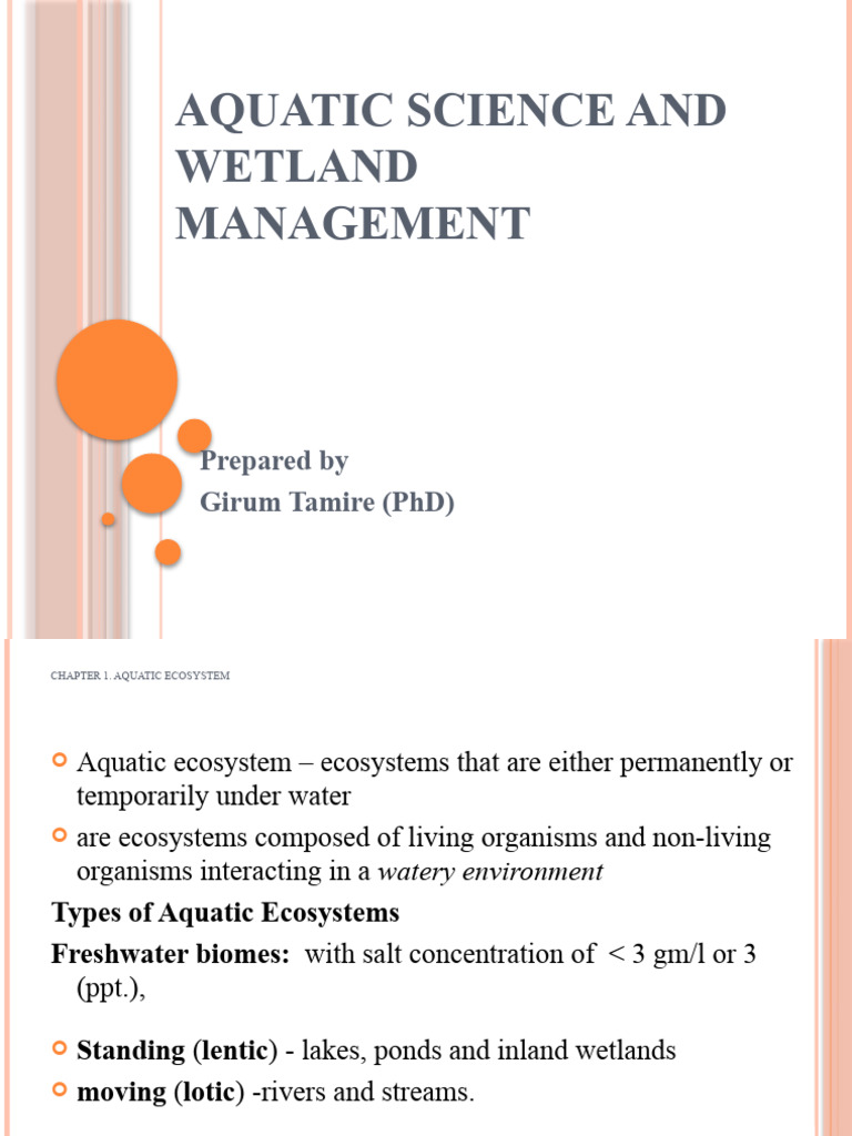 Understanding Aquatic Habitats and Wetlands | PDF | Aquatic Ecosystem | Nature