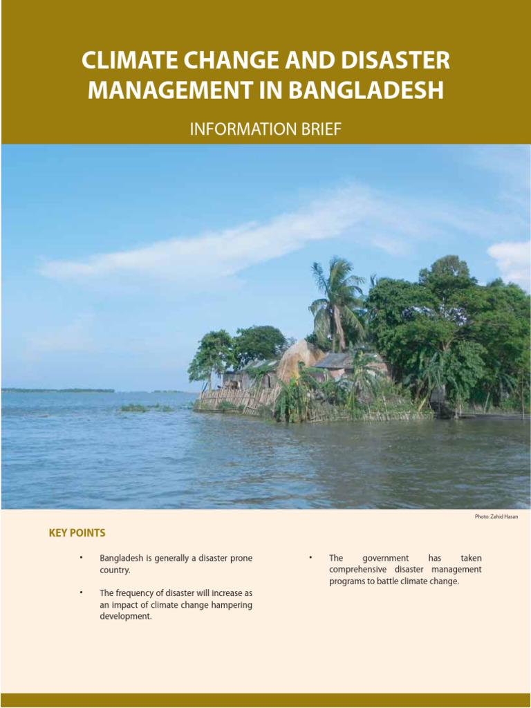 Disaster 1 Download Free Pdf Disaster Risk Reduction Emergency
