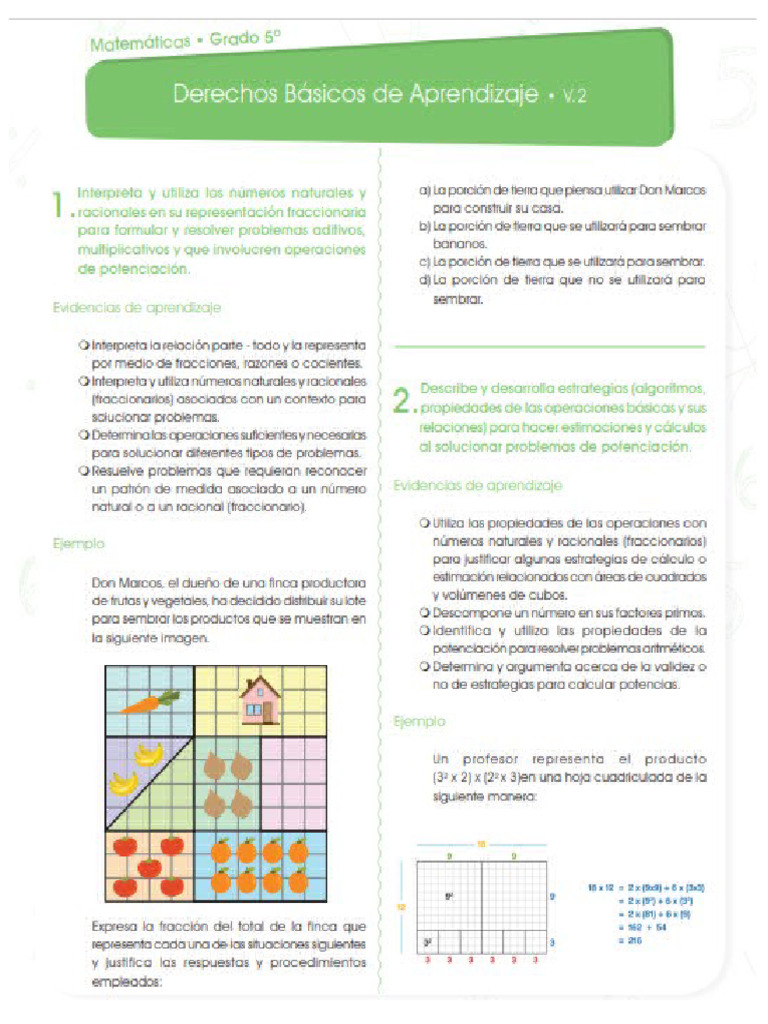 Dba Quinto Matemáticas | PDF