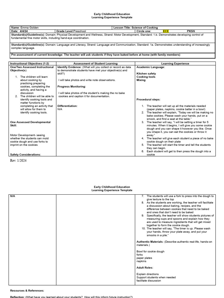 Ece Lesson Plan Template 7 | PDF | Early Childhood Education | Human ...