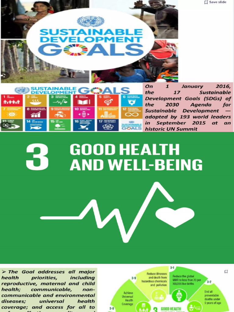 SDG 3 by Karan | PDF