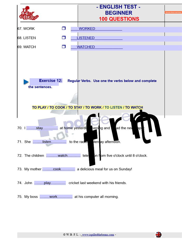 Beginner English Test: 100 Questions | PDF