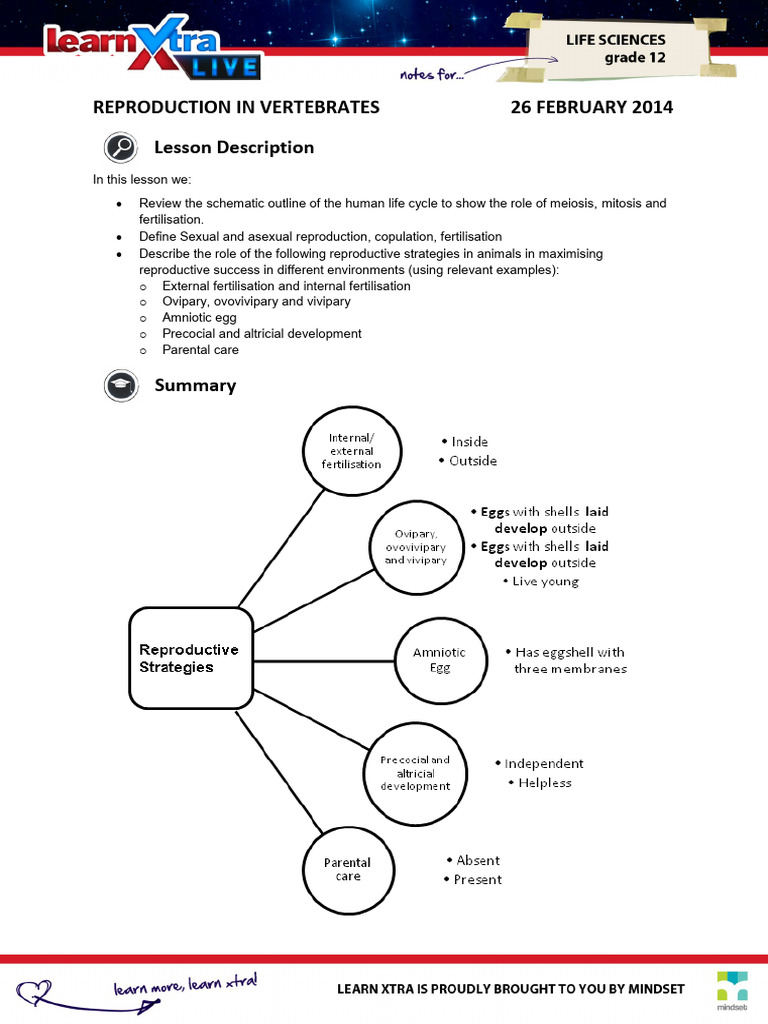 LXL Gr12LifeSciences 04 Reproduction in Vertebrates 26feb2014 | PDF ...