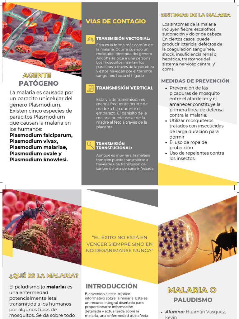 Folleto Brochure de Servicios Empresa Profesional amarillo | PDF | Malaria | Plasmodium