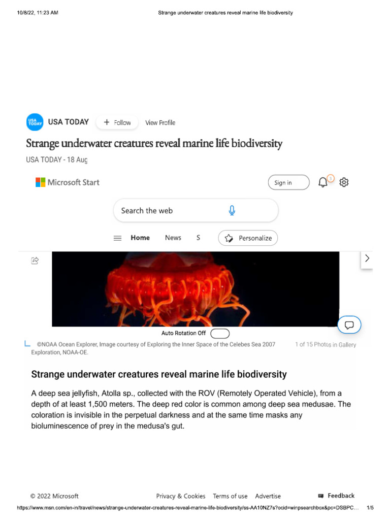Strange Underwater Creatures | PDF