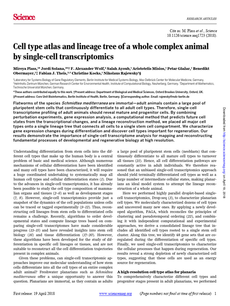 Cell Type Atlas | PDF | Cellular Differentiation | Regeneration (Biology)