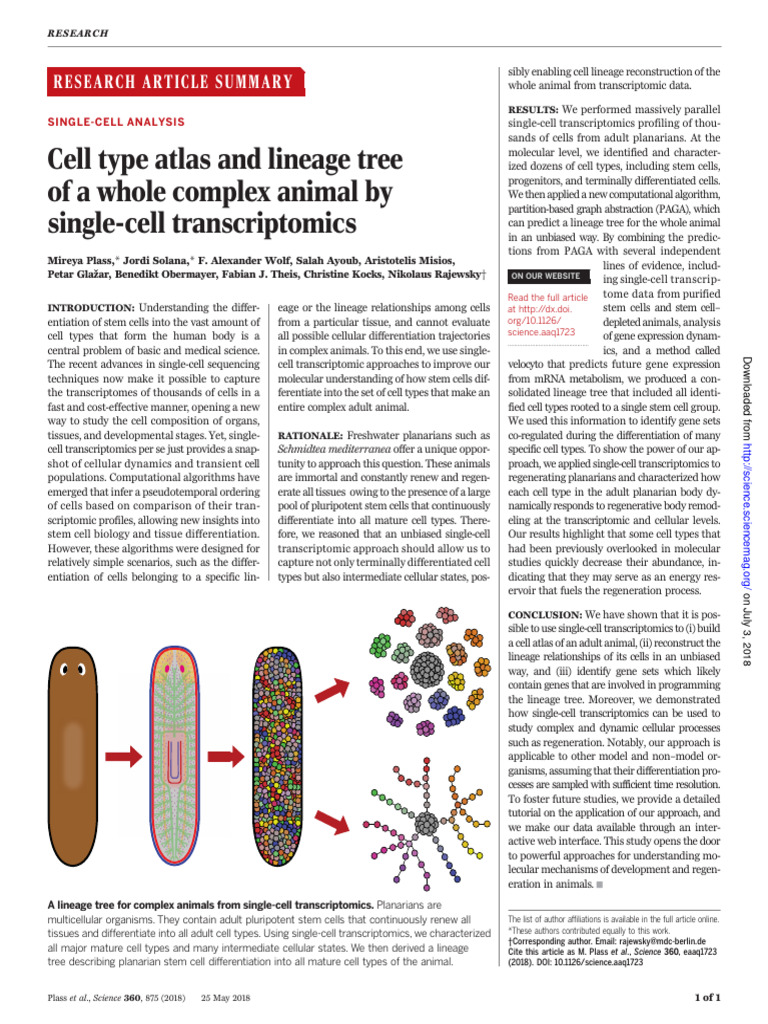 Cell Type Expression Profile Paper | Download Free PDF | Cellular ...