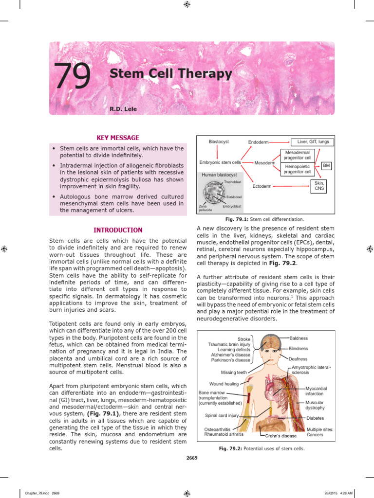 Chapter_79 checked... | PDF | Stem Cell | Cell Potency