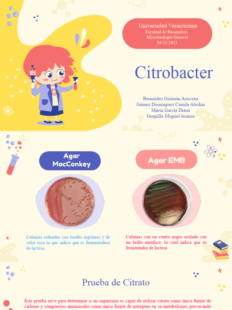 Citrobacter | PDF | Las bacterias | Lisina