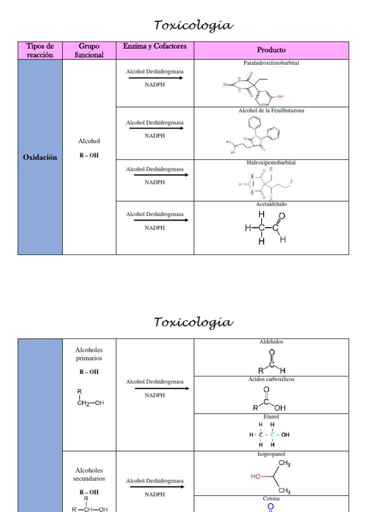 Tipos de Reacción | PDF | Ácido carboxílico | Etanol