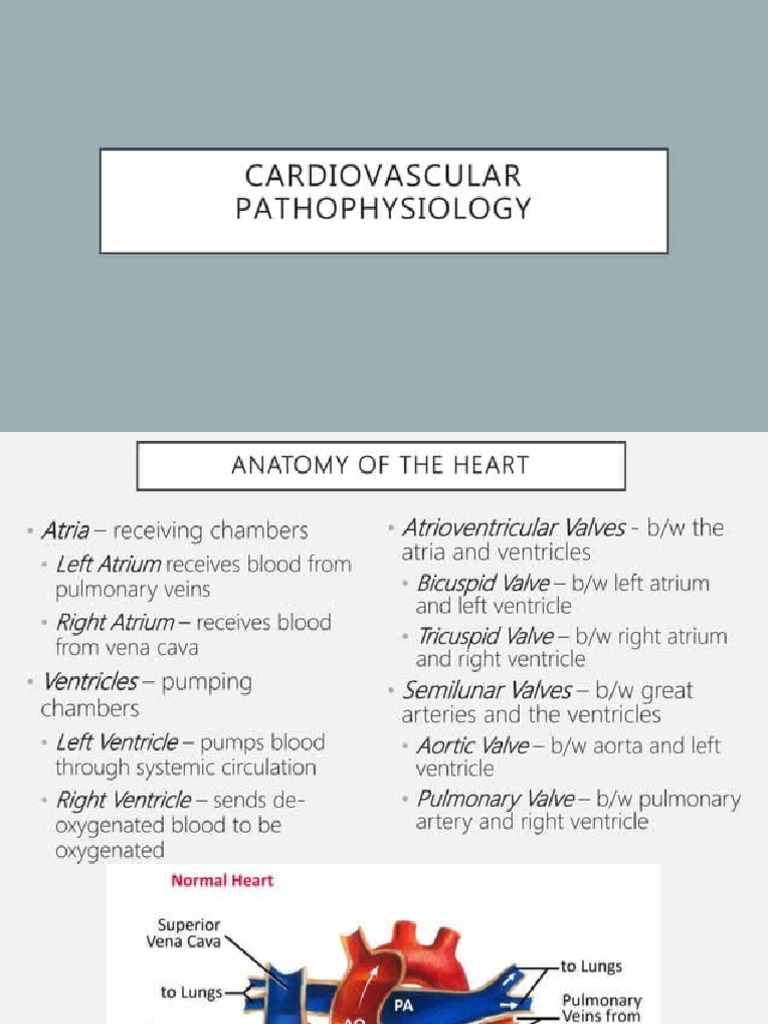 Pathophysiology of Cardiovascular System | PDF