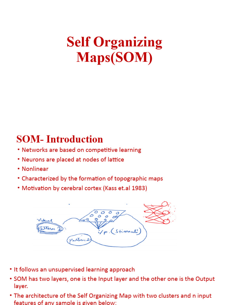 Self Organizing Maps | PDF | Applied Mathematics | Computational Neuroscience