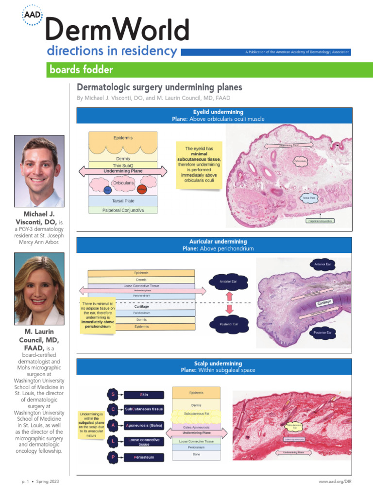 AAD BF Undermining Planes | PDF | Dermatology | Anatomy