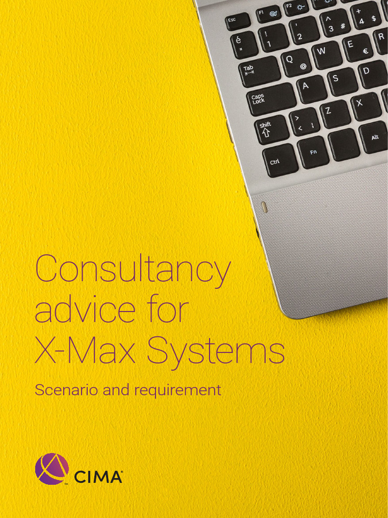 X Max Systems | PDF | Employment | Consultant