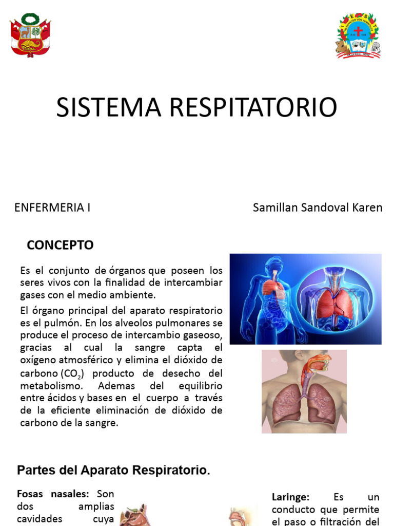 Sistema Respiratorio | Descargar gratis PDF | Sistema respiratorio | Pulmón