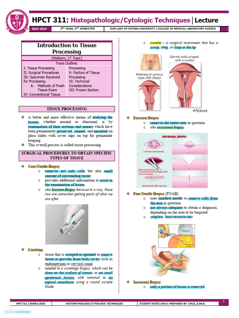 5 - Introduction To Tissue Processing | PDF | Histopathology | Biopsy