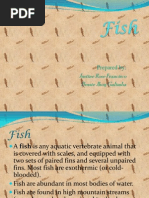 List of Sea Animals With Pictures PDF | PDF