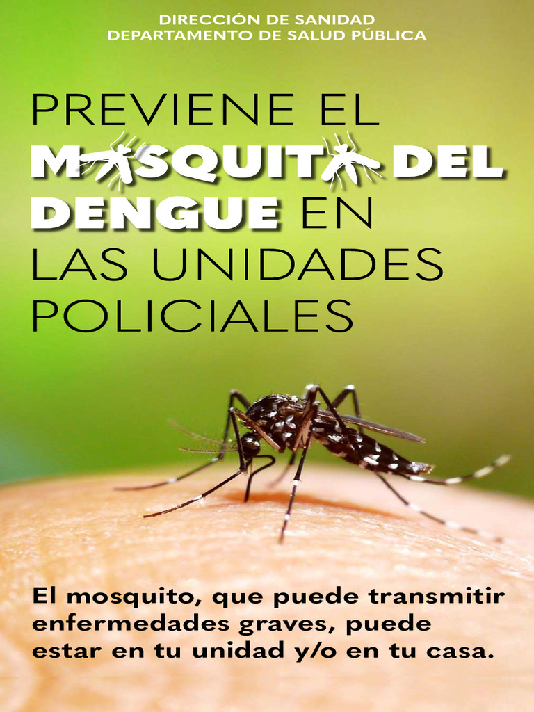 Infografia Dengue | PDF