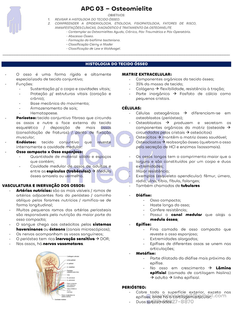 APG 03 - Osteomielite | PDF