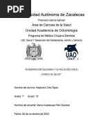 Pilón de Alimentación y Nutrición RD | PDF | gordo | Alimentos