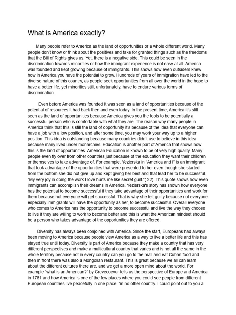 Essay, America Def | PDF | Multiculturalism | Discrimination