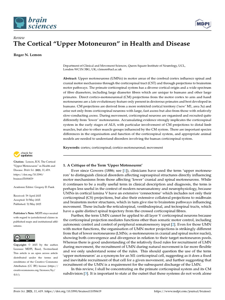 Lemon 2021 - The Cortical "Upper Motoneuron" in Health and Disease ...