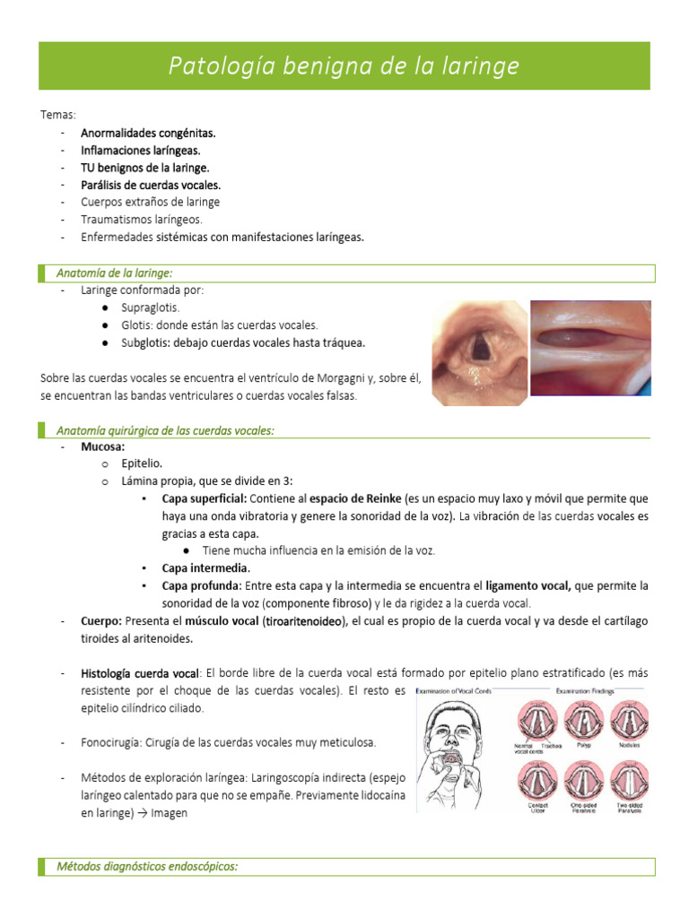 Laringoscopia Indirecta y Hematoso en Laringe | PDF | Laringe ...