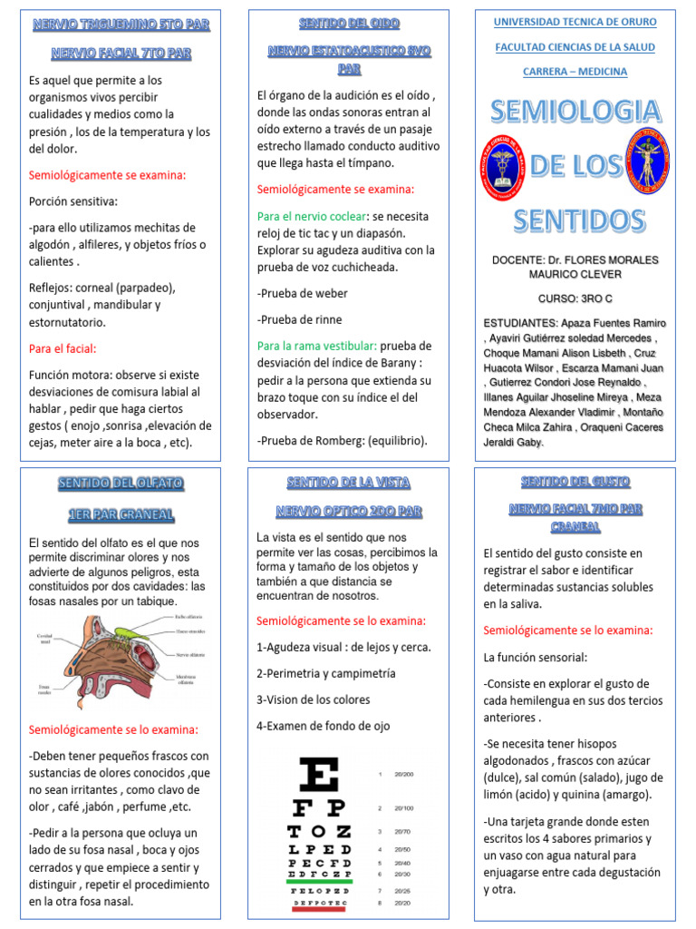 Trip Tic Ooo | PDF | Oído | Gusto