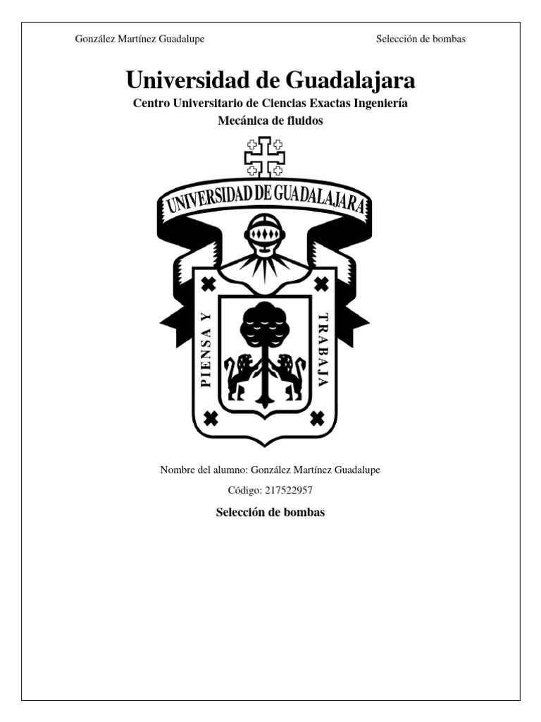 Selección de Bombas - Guadalupe González Martínez | PDF | Bomba | Viscosidad