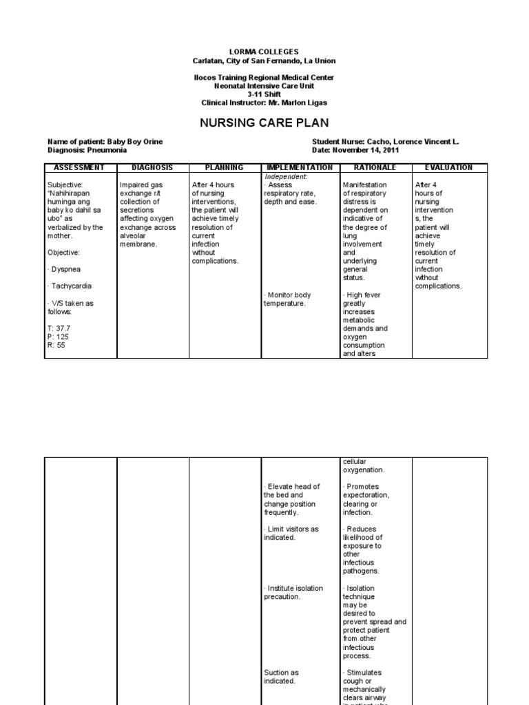 NICU Nursing Care Plan | PDF