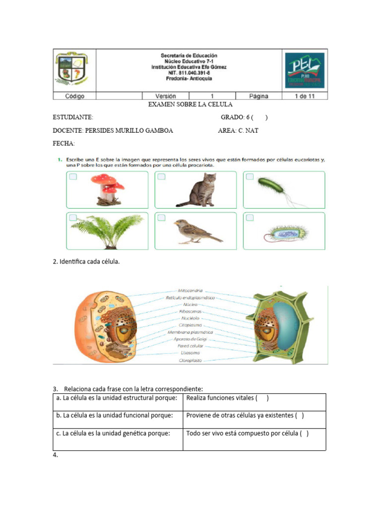 EXAMEN SOBRE LA CELULA | PDF
