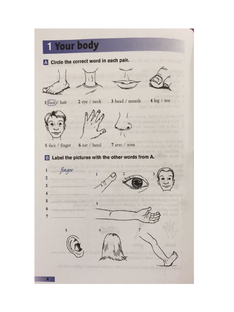 Vocabulary in Practice 1 | PDF