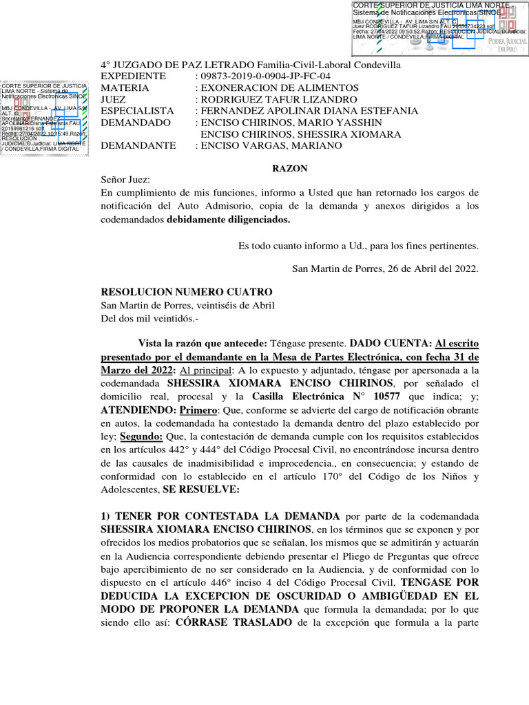 Res. 4-Mario | PDF | Ley procesal | Judicaturas