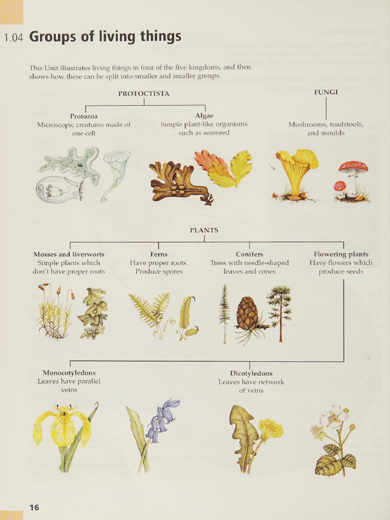 New Coordinated Science Biolog Students Book For Higher Tier 17 | PDF