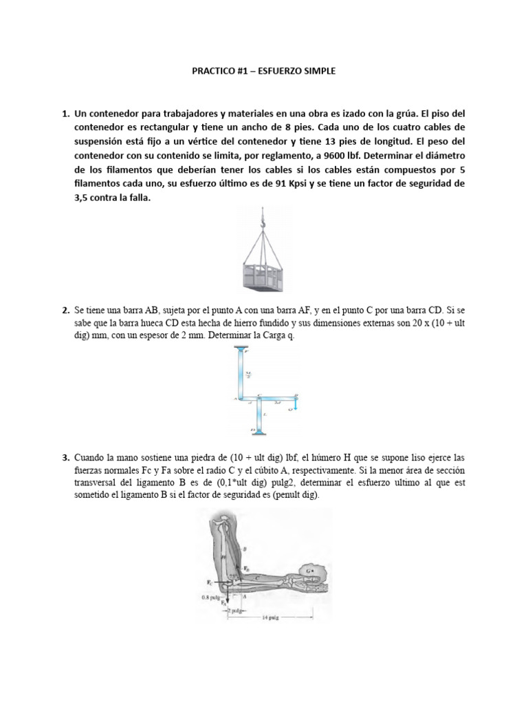 Practico Esfuerzo Simple | PDF