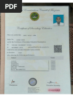 Zim Driving Licence Explained | PDF