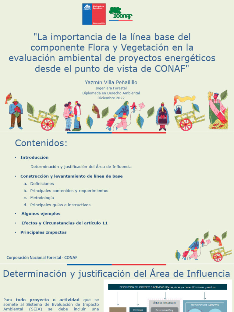 Conaf - Linea Base Flora y Vegetacion en La Evaluacion Ambiental de Proyectos Energeticos | PDF ...